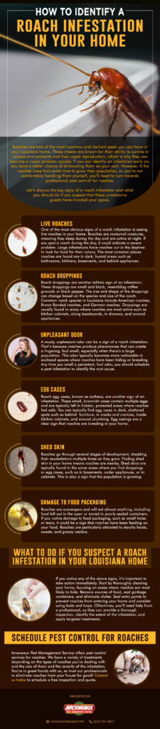 How to Identify a Roach Infestation in Your Home [Infographic ...
