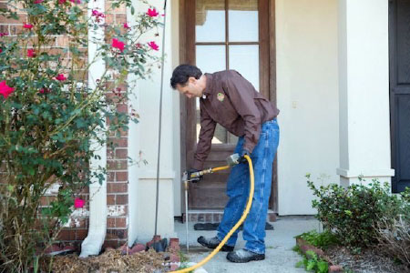 Termite Inspection | Arceneaux Pest Control